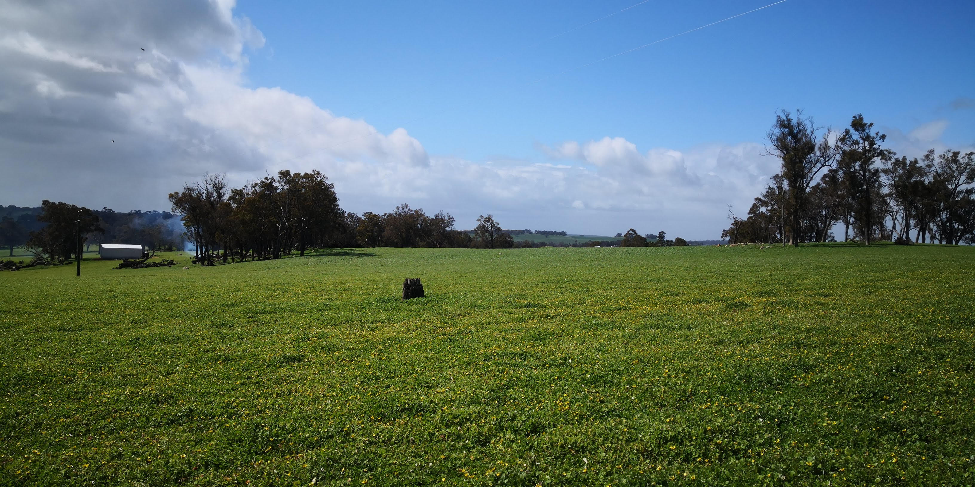 Boyup Brook Acreage For Sale | Scenic Rural Land in Western Australia